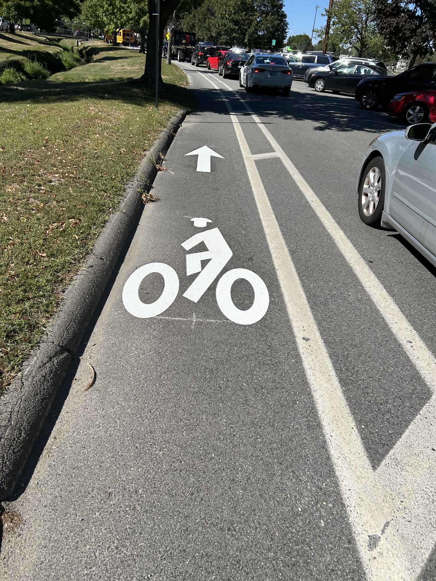 Bike visuals added to bike lanes and sharrows painted on Albemarle ...